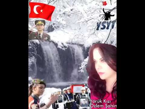 ogul
