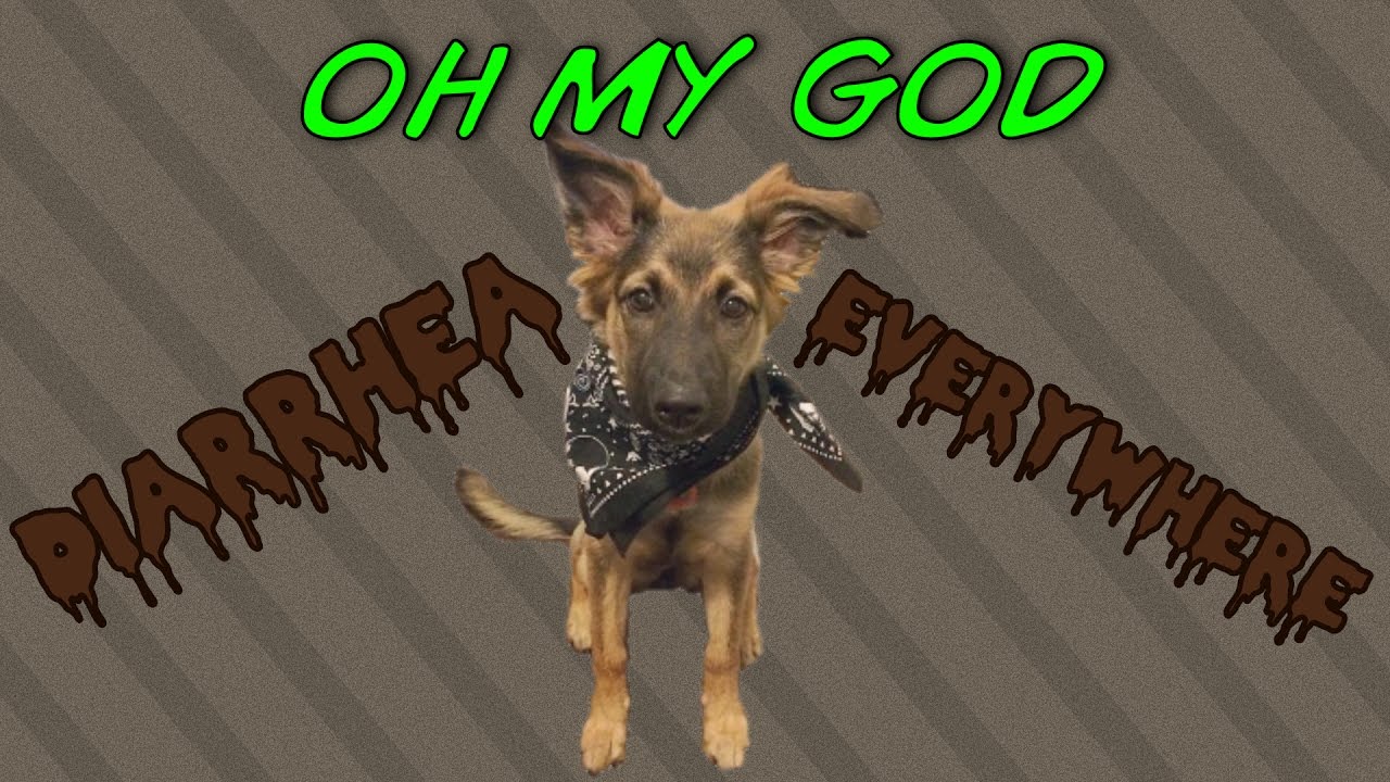 OH MY GOD DIARRHEA EVERYWHERE - YouTube