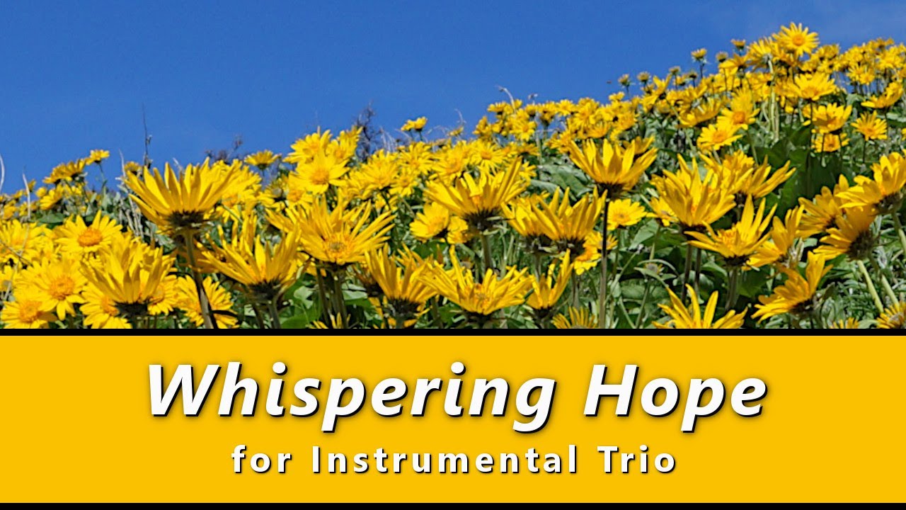 Whispering Hope (Instrumental Trio, lyrics provided) - YouTube