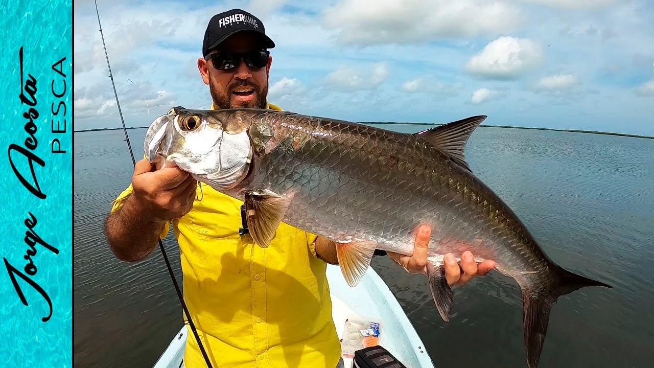 PESCA de SÁBALO en MEXICO - pescando en San Felipe, Yucatán - YouTube