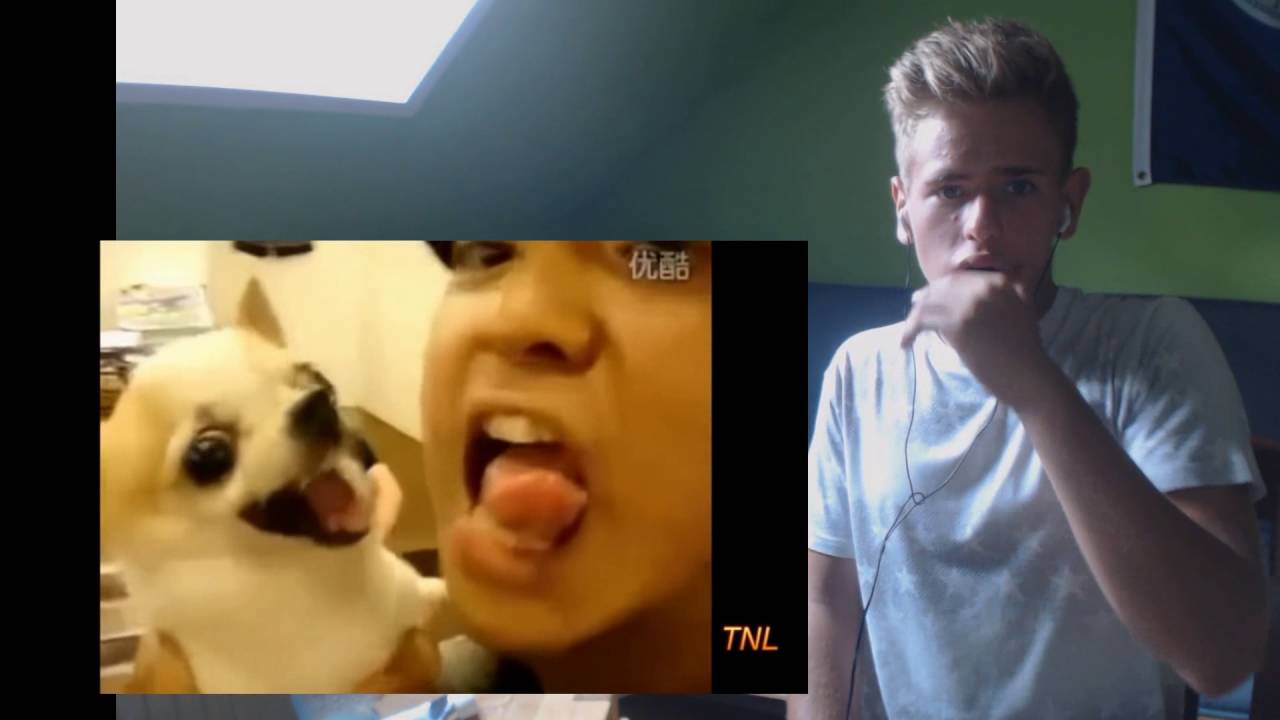 TRY NOT TO LAUGH REACTION - YouTube