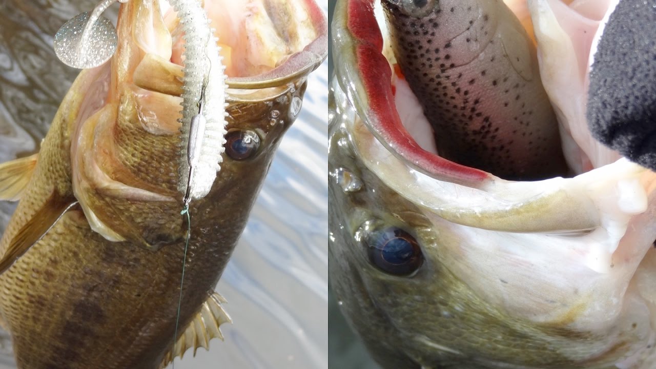 Tools for winter bass: KEITECH & HUDDLESTON - YouTube