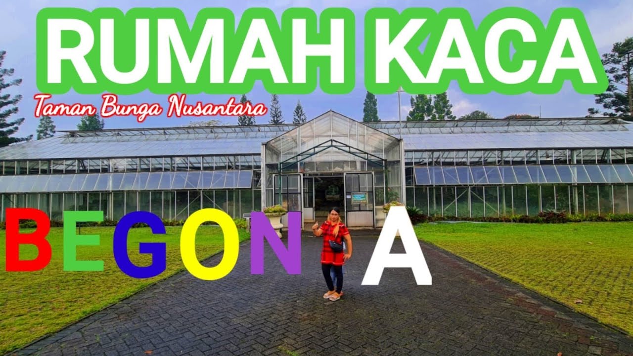 TOUR Identifikasi BEGONIA Koleksi Taman Bunga Nusantara Dalam Rumah Kaca Cipanas# ...