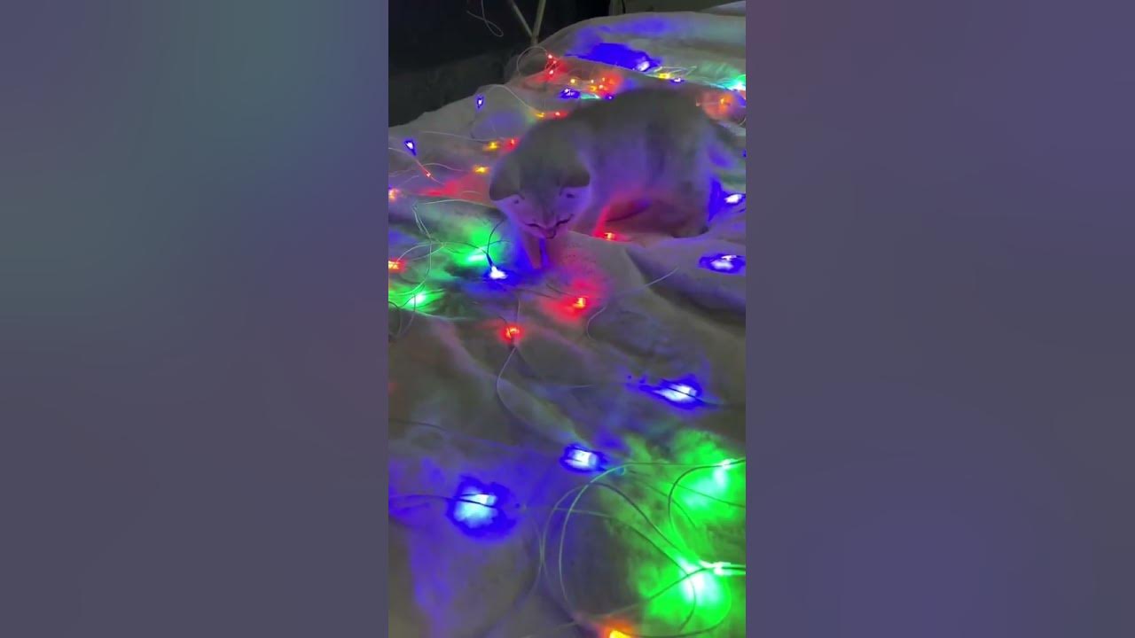 ого - YouTube