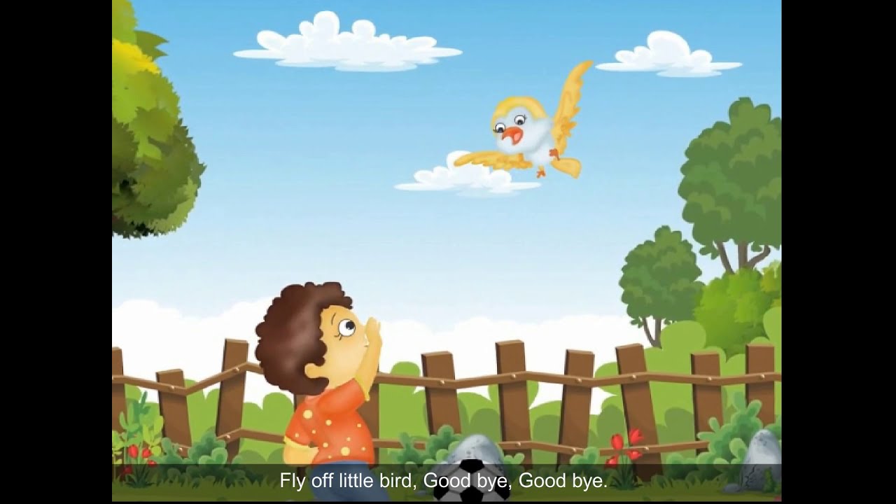 I can See (Rhymes-C) #kidsvideo #poem #englishpoem - YouTube