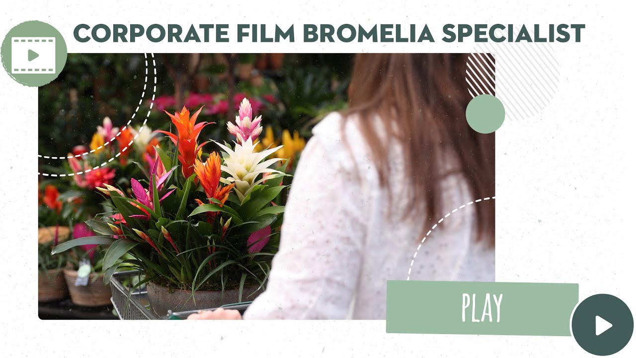 Corporate film Bromelia Specialist - YouTube