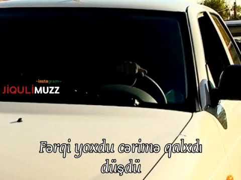 06 07 Maşın sürənlər (Avtoşlar)
