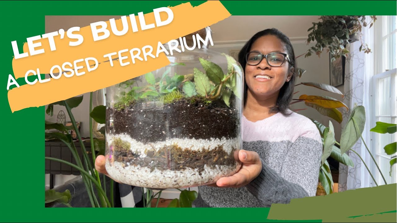 HOW TO BUILD A CLOSED TERRARIUM | ITS EASY! - YouTube