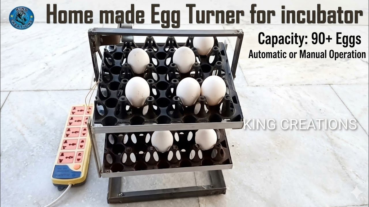 Home made Egg Turner, automatic egg Turner, egg Turning tray - YouTube