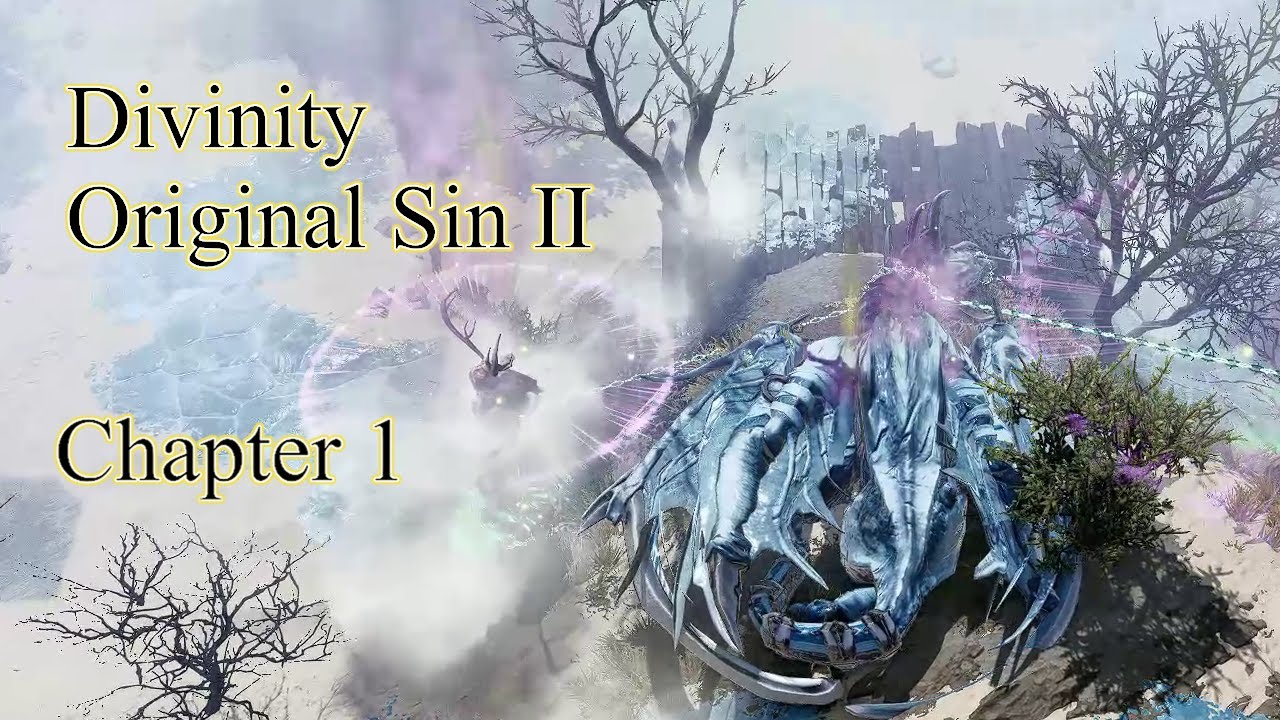 Divinity Original Sin 2 | Сhapter 1 - YouTube