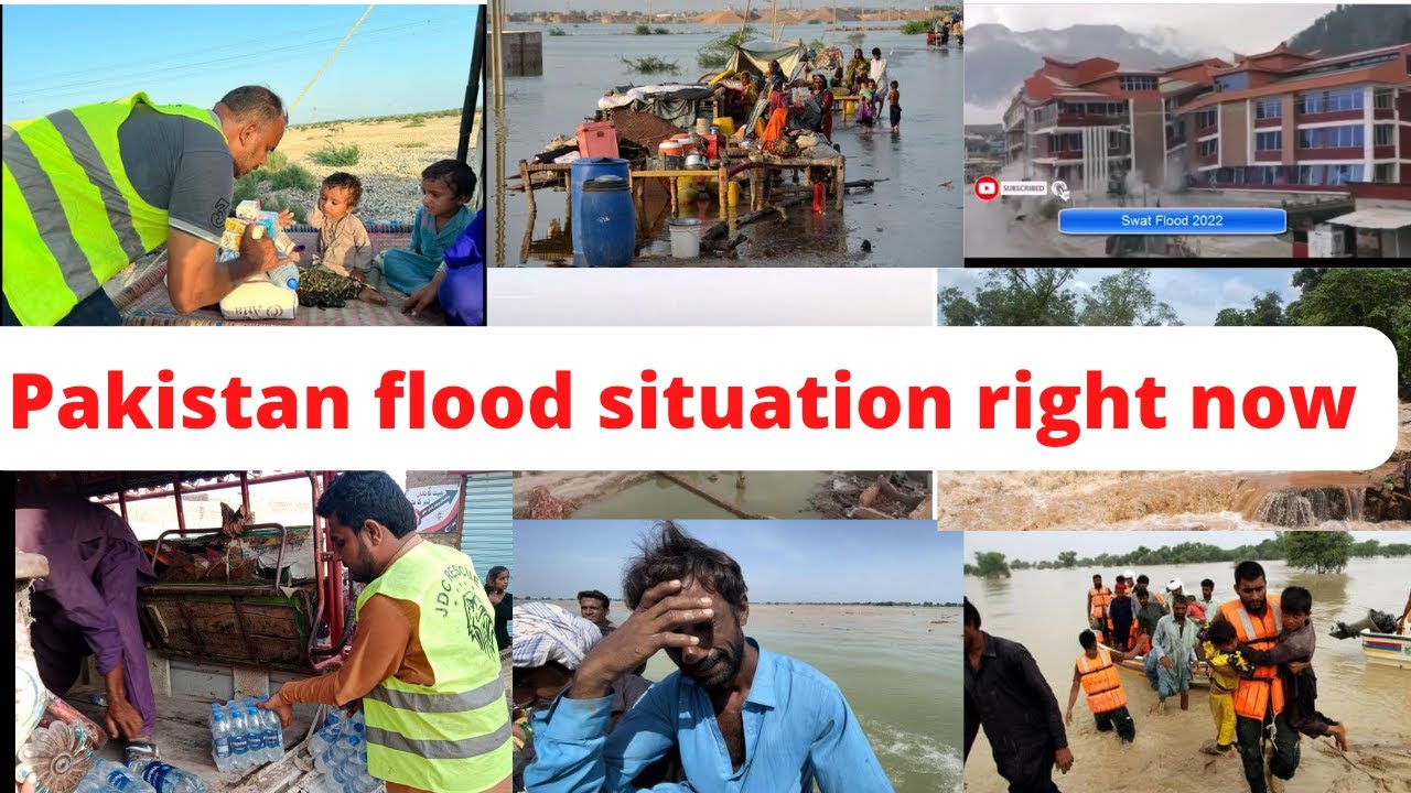 Pakistan flood 2022 | emergency high alert situation | how we can help ...