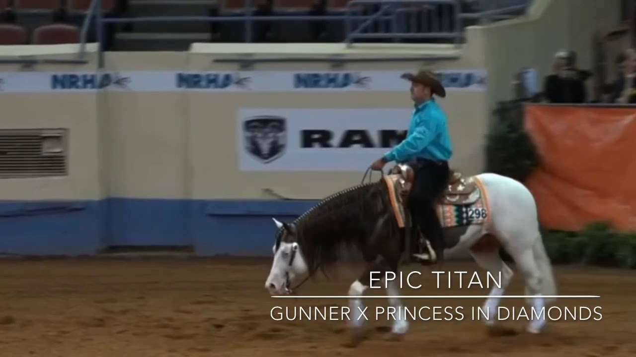 Epic Titan - Andrea Fappani - NRHA DERBY 2019 Open Go Round - Score 221 ...