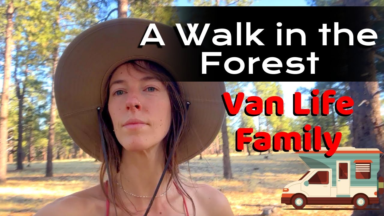 VAN LIFE | Single Mom | Traveling with a Toddler, Dog, and Cat. - YouTube