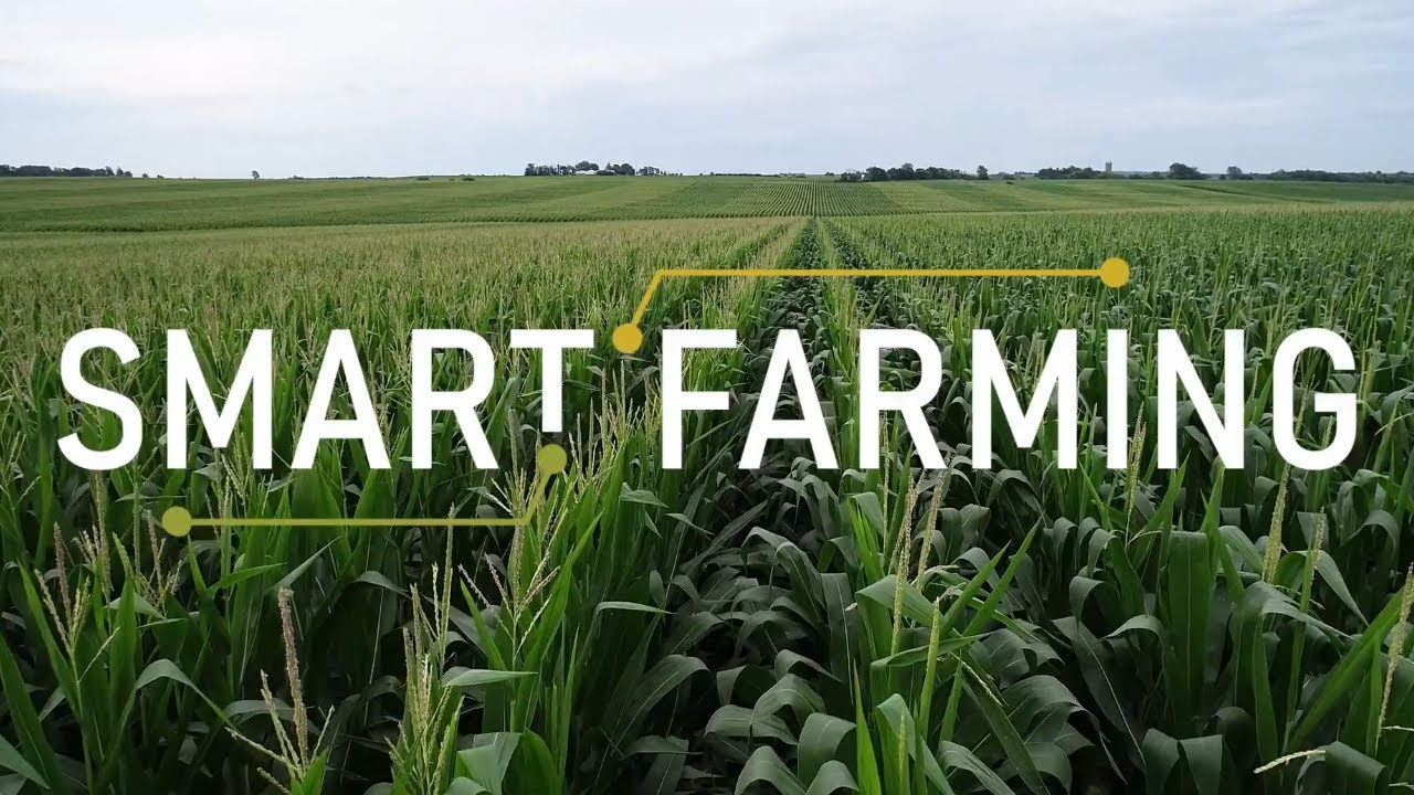 Smart Farming: Explore the Future of Technology and Innovation on the ...