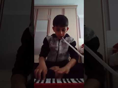 Erik dalı gevrektir- melodik