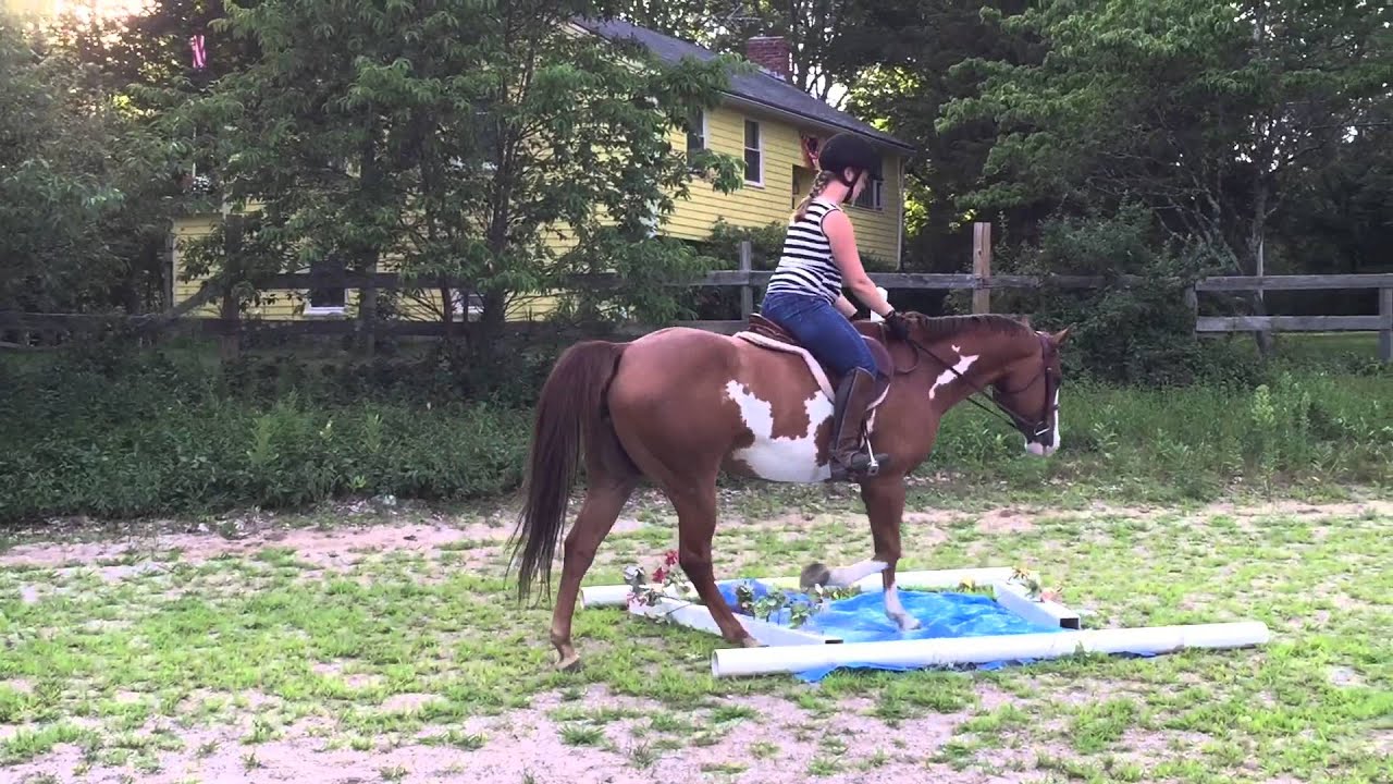 Flashy Diamond Star ("Dee") - YouTube