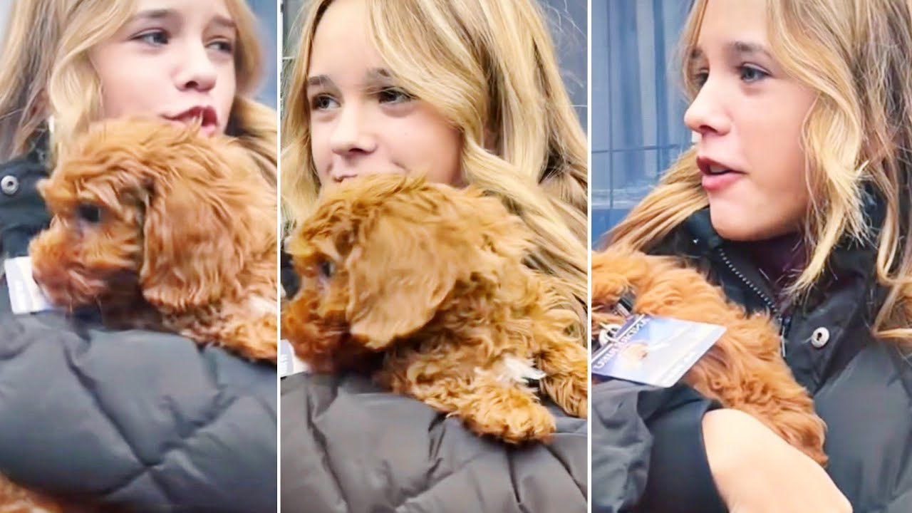 Emma Kok pet dog Ollie is So happy to See Emma Kok again & Emma Cute ...