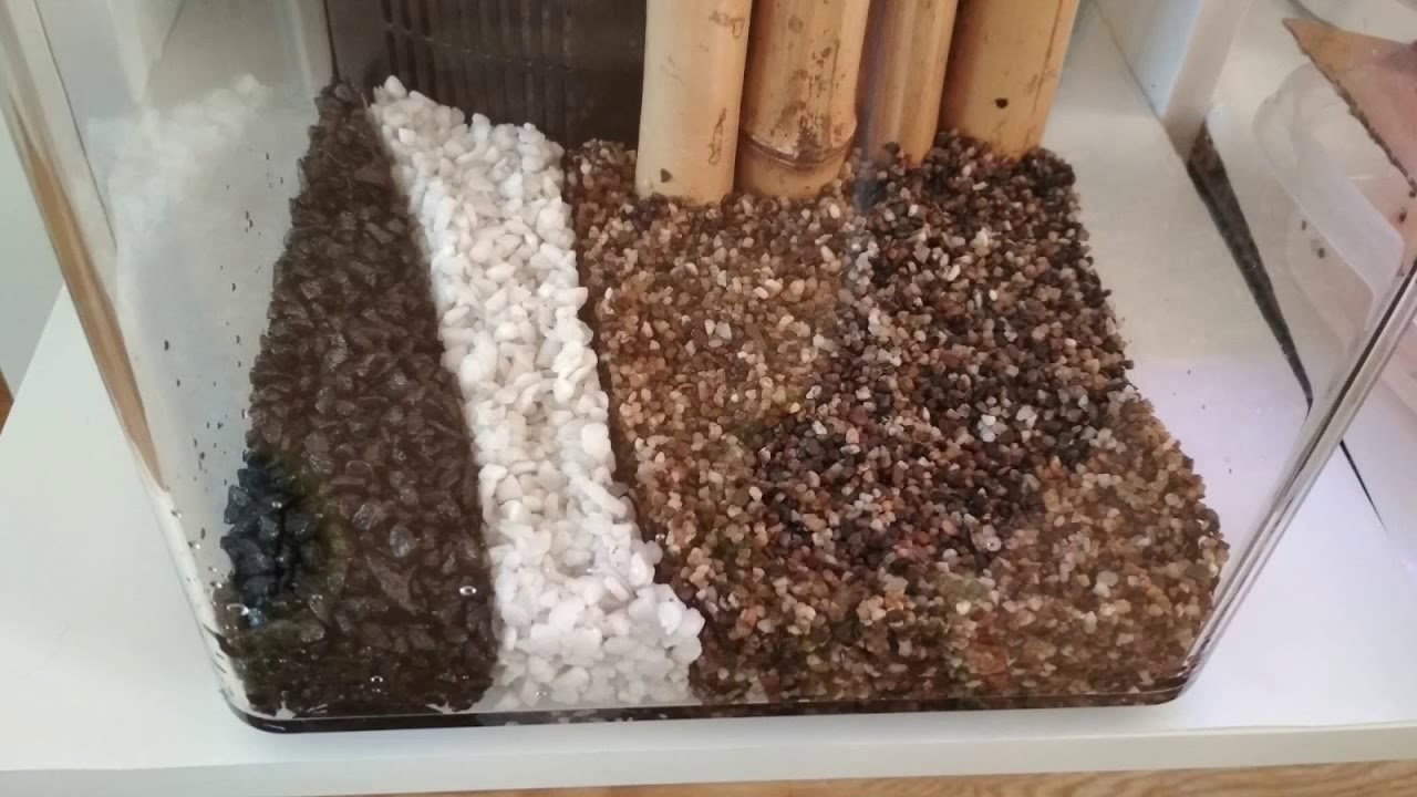 Superfish home 8 nano aquarium - YouTube