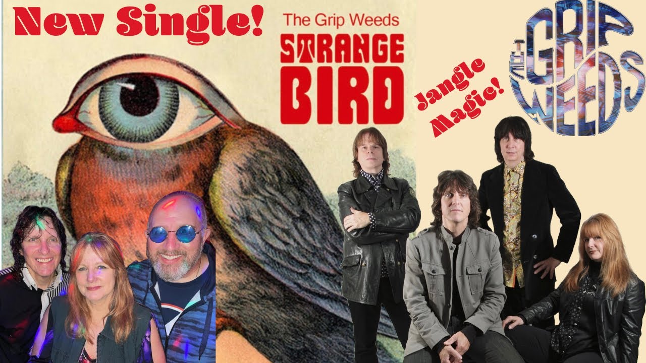 Review! The Grip Weeds “Strange Bird” and More! - YouTube