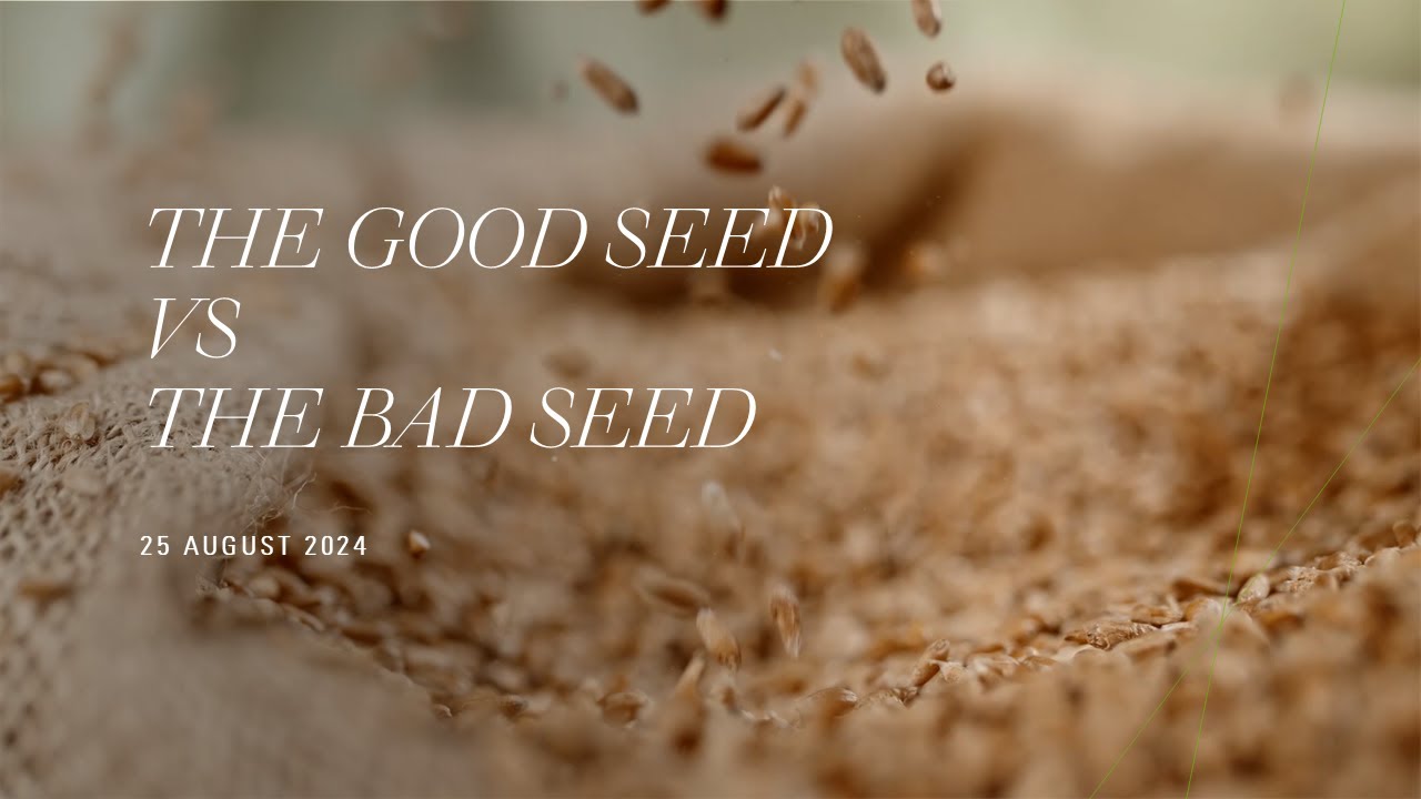 THE GOOD SEED VS THE BAD SEED - 25 AUGUST 2024 - YouTube