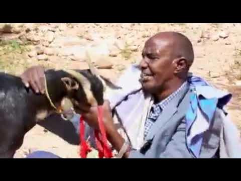 riwaayadii sooran iyo jawaan ee is khladka 😂🤣 - YouTube