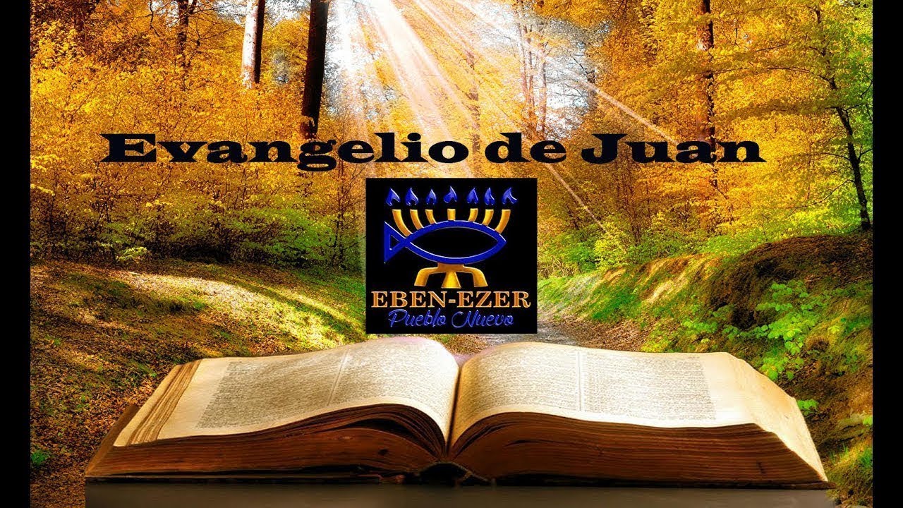 Estudio Biblico EVANGELIO DE JUAN 15/11/2018 - YouTube