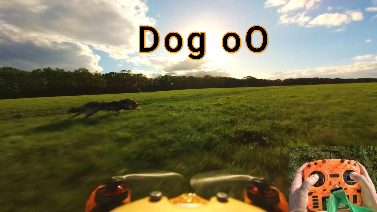 trying to get a Cineamtic FPV Shot of my Dog with the Runcam Thumb 2 ...