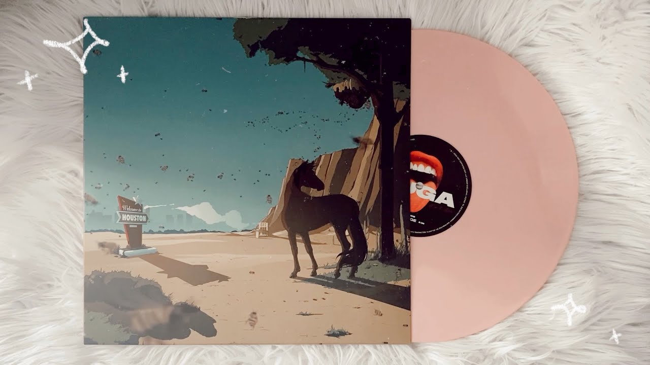 megan thee stallion - savage / savage remix (vinyl unboxing) - YouTube