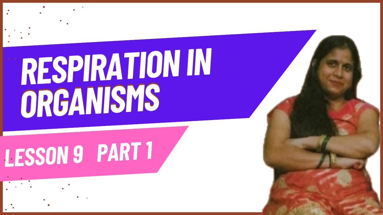 RESPIRATION IN ORGANISMS Class 7 Lesson 9 Part 1 Future Kid's Science ...