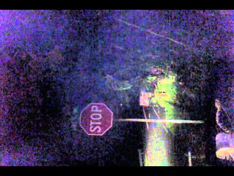 Coqui tree frogs in Hilo, Hawaii - YouTube