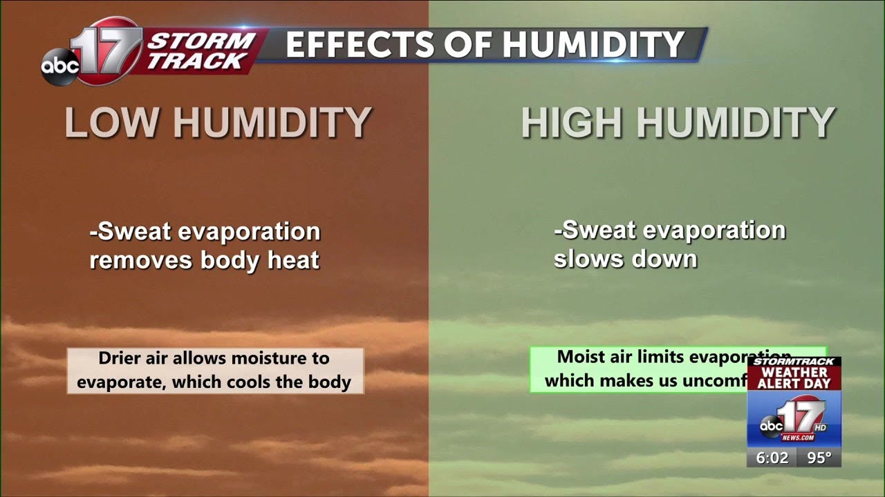 Insider Blog: How high humidity can slow the body’s cooling process ...
