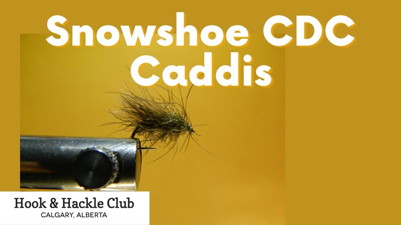 Hook and Hackle Club Presents - Snowshoe caddis - YouTube