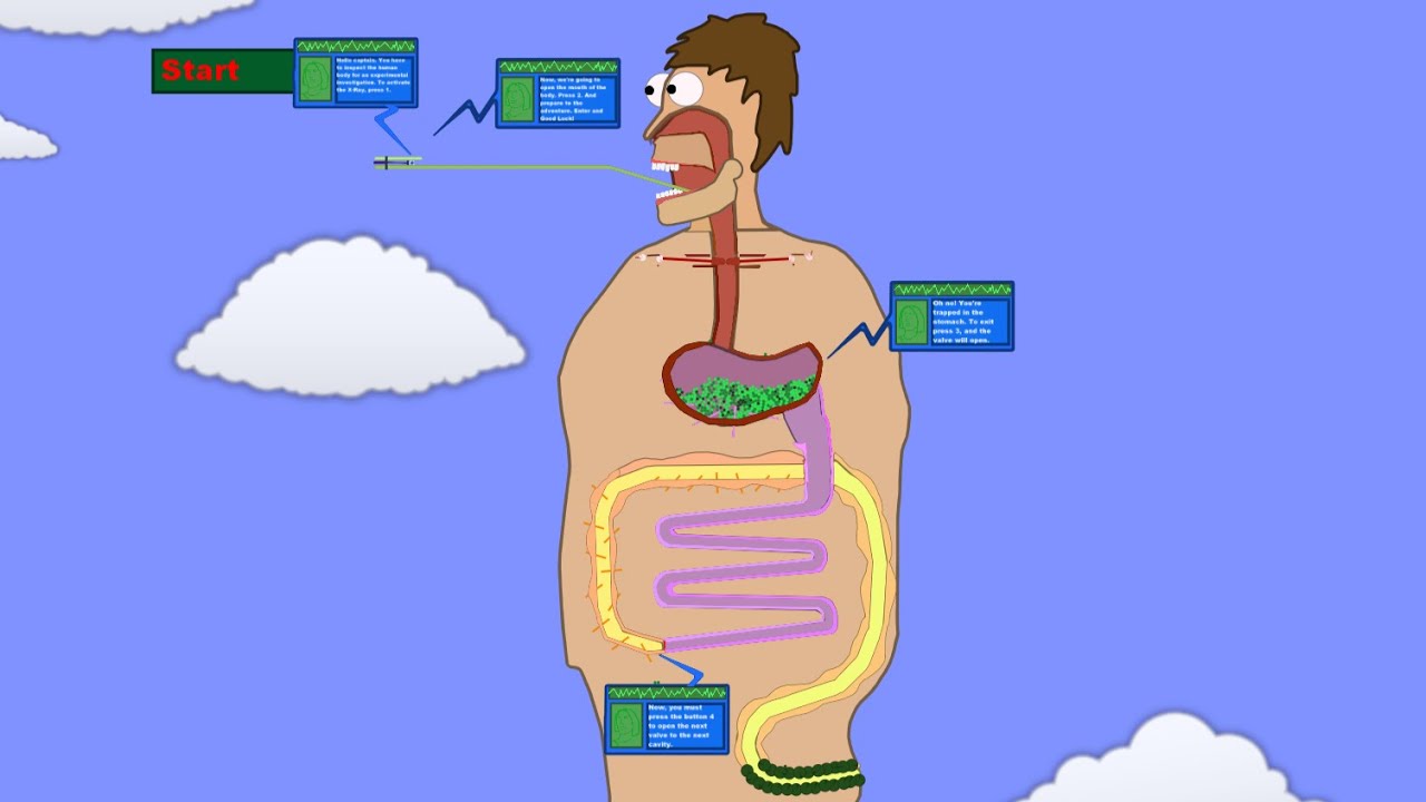 【Algodoo】Travel in the body. 体内旅行 - YouTube