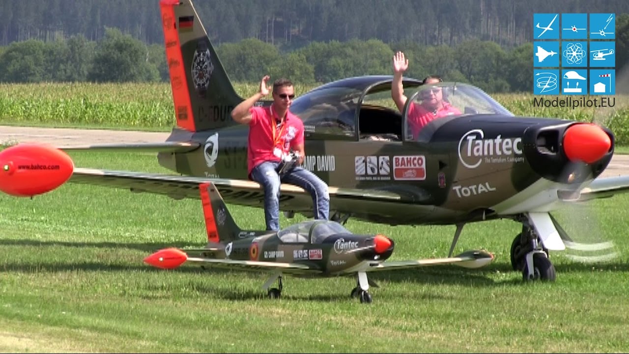 Aimsiú Sleachta Nemo Nemo Artist Nemo Artist Shtoi Një