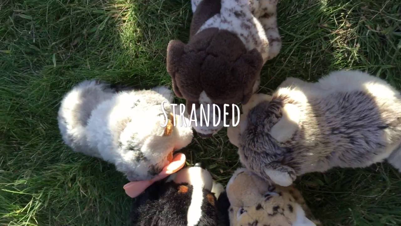 Theme Song For Stranded - YouTube