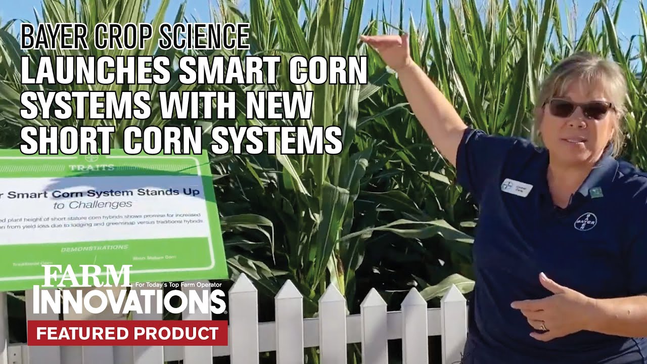Bayer Crop Science Launches Smart Corn Systems with New Short Corn ...