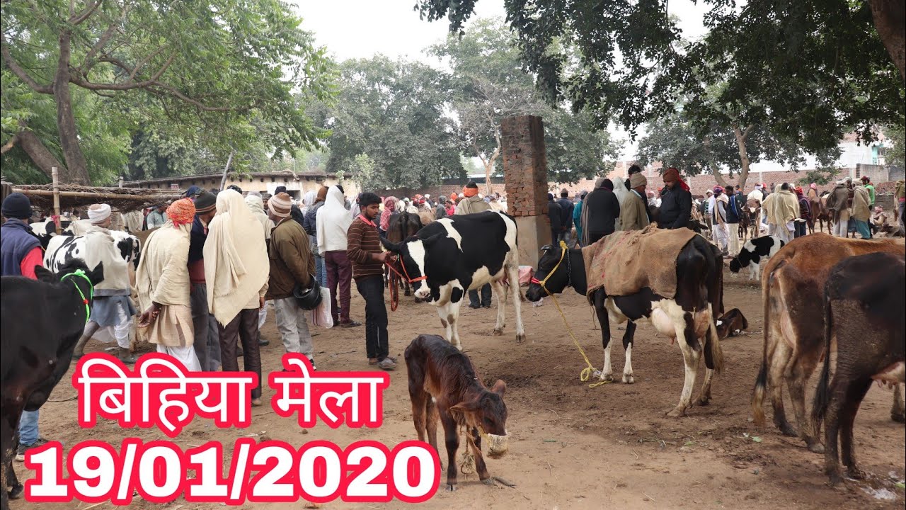 बिहिया मेला भोजपुर बिहार bihiya mela Bhojpur Bihar - YouTube