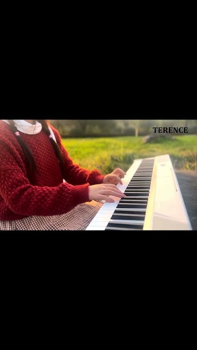 Weekend Vibes at the Park with the Terence V50 Portable Folding Piano 🎶🌳 #terencepiano - YouTube