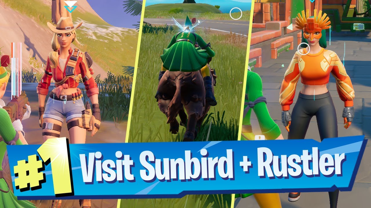 Interact with Sunbird or Moon Hawk and Rustler in a single match ...