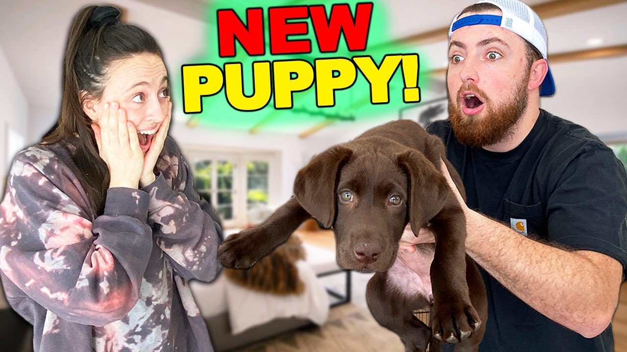 Surprising My GIRLFRIEND With A NEW PUPPY! - YouTube