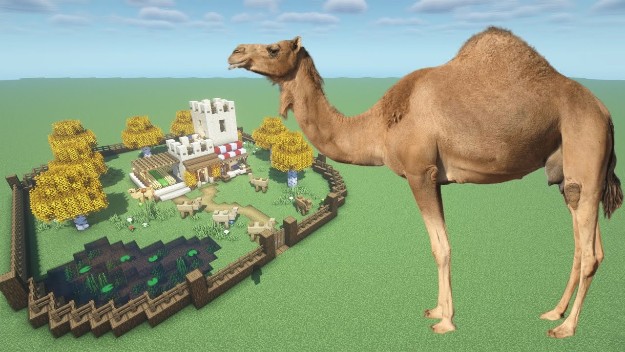 How To Make a Camel Farm in Minecraft PE - YouTube