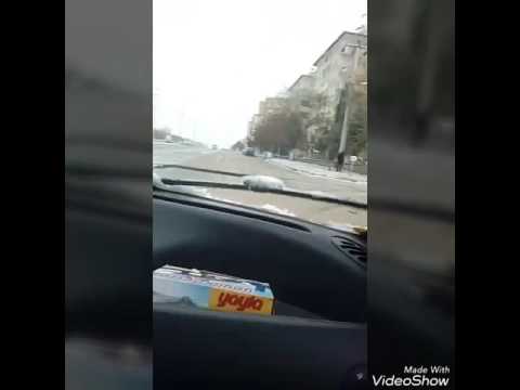 Kar keyfi Fiat palio el freni