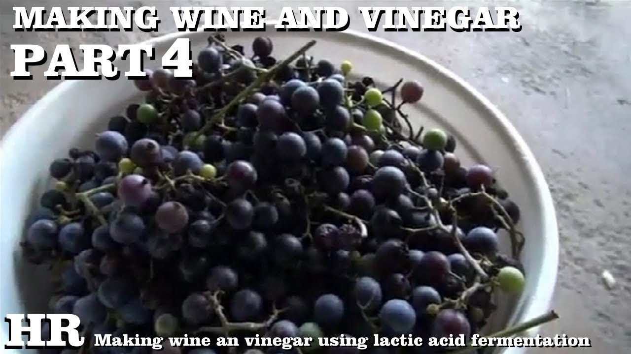 HOW TO MAKE GRAPE WINE AND VINEGAR | final steps stirring the mash ...