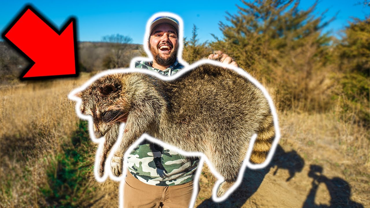 Heaviest Raccoon Ever Recorded