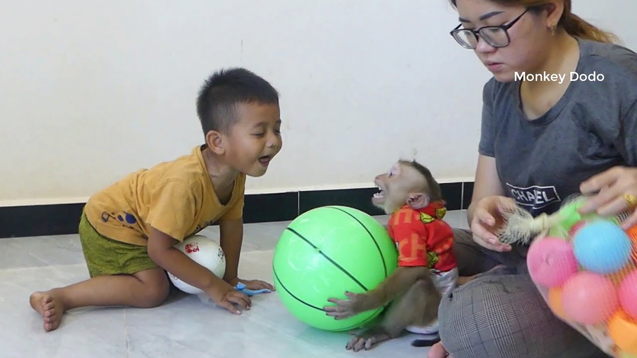 0h G0d!! Moly Hug Ball Very Strong & Shout Loudly Worry His Friend Take ...