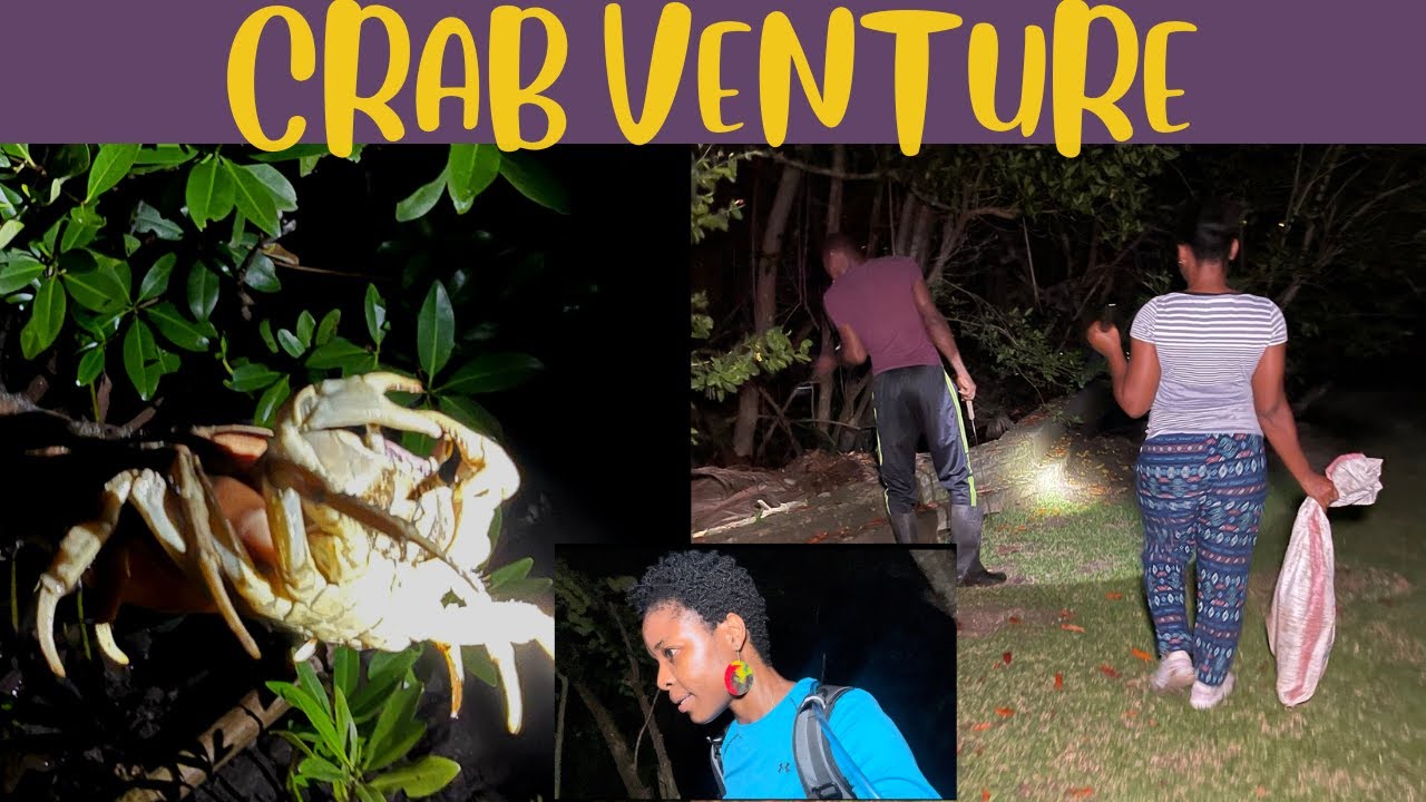 Grenada | Night-Time Adventure Hunting Crabs | One One Cocoa - YouTube
