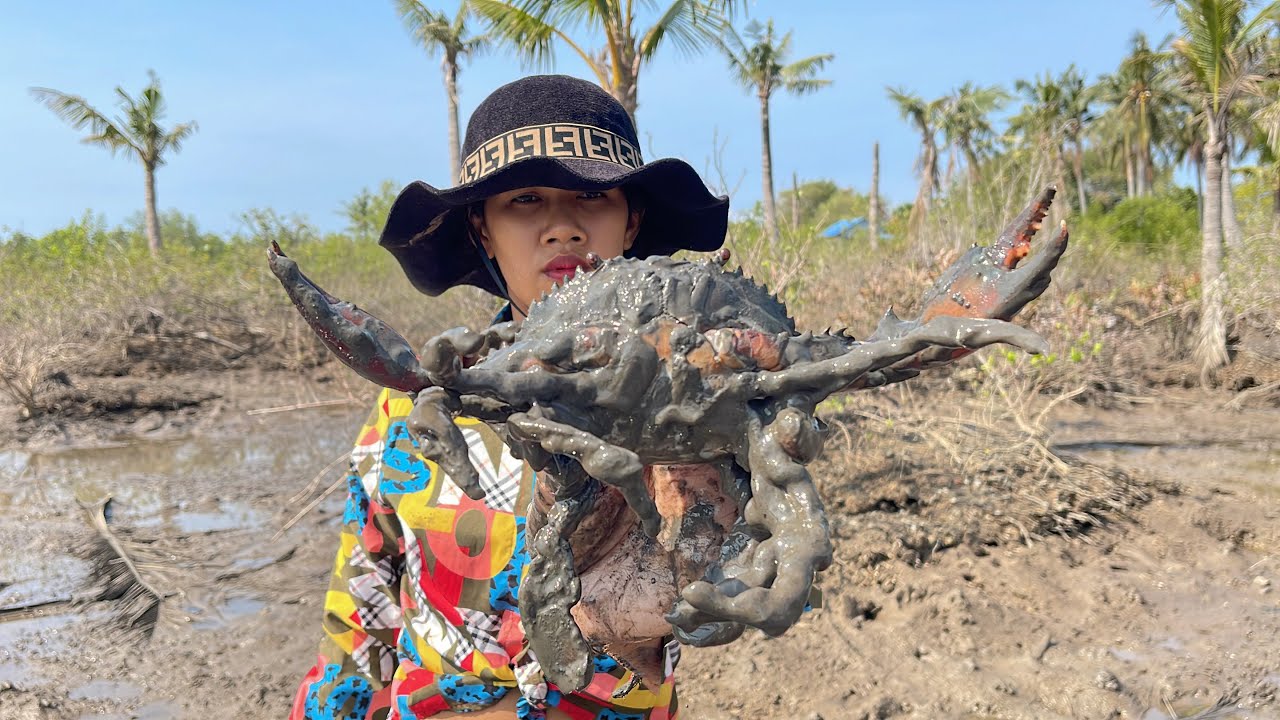 Amazing Catching Many Huge Mud Crabs at Swamp after Water Low Tide ...
