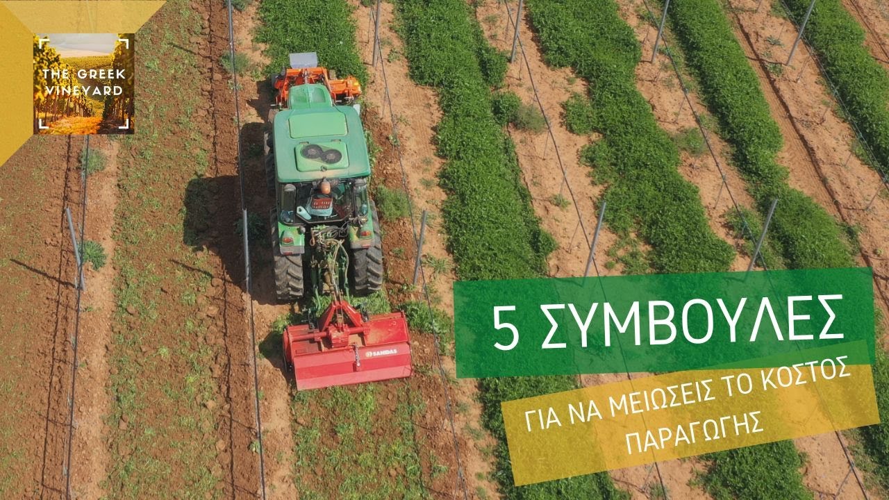 Αμπελι | 5 Χρήσιμες Συμβουλές για να ΜΕΙΩΣΕΙΣ Το Κόστος Καλλιέργειας ...