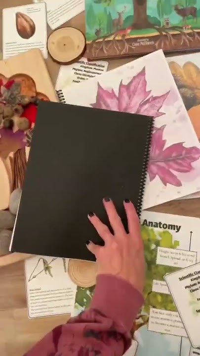 Discover the Growth, Anatomy, and Art of Deciduous Trees in Our Hands ...