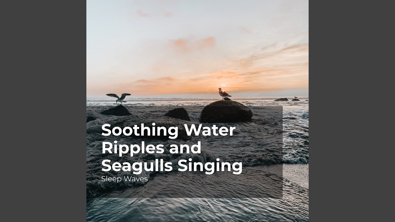 Sea Ruffle at Midnight - YouTube